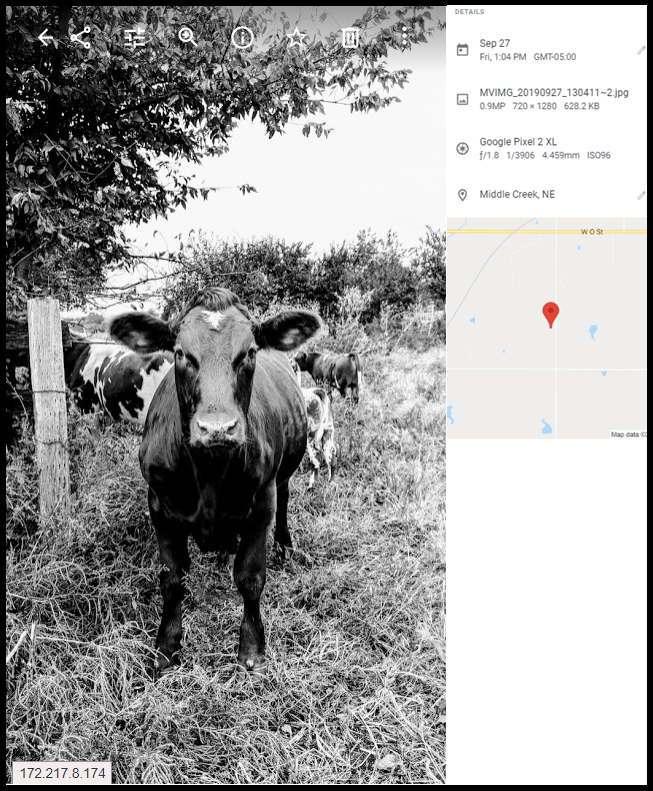 Michael Rutt — The Great Oudoors